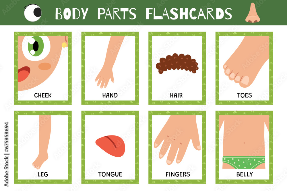 Body parts flashcards collection. Flash cards for practicing reading ...