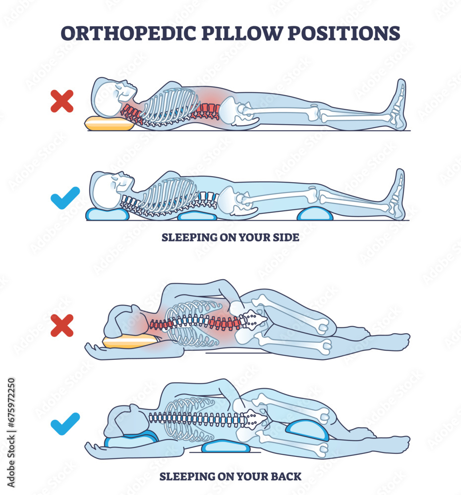 Orthopedic pillow positions with sleeping on side and back outline ...