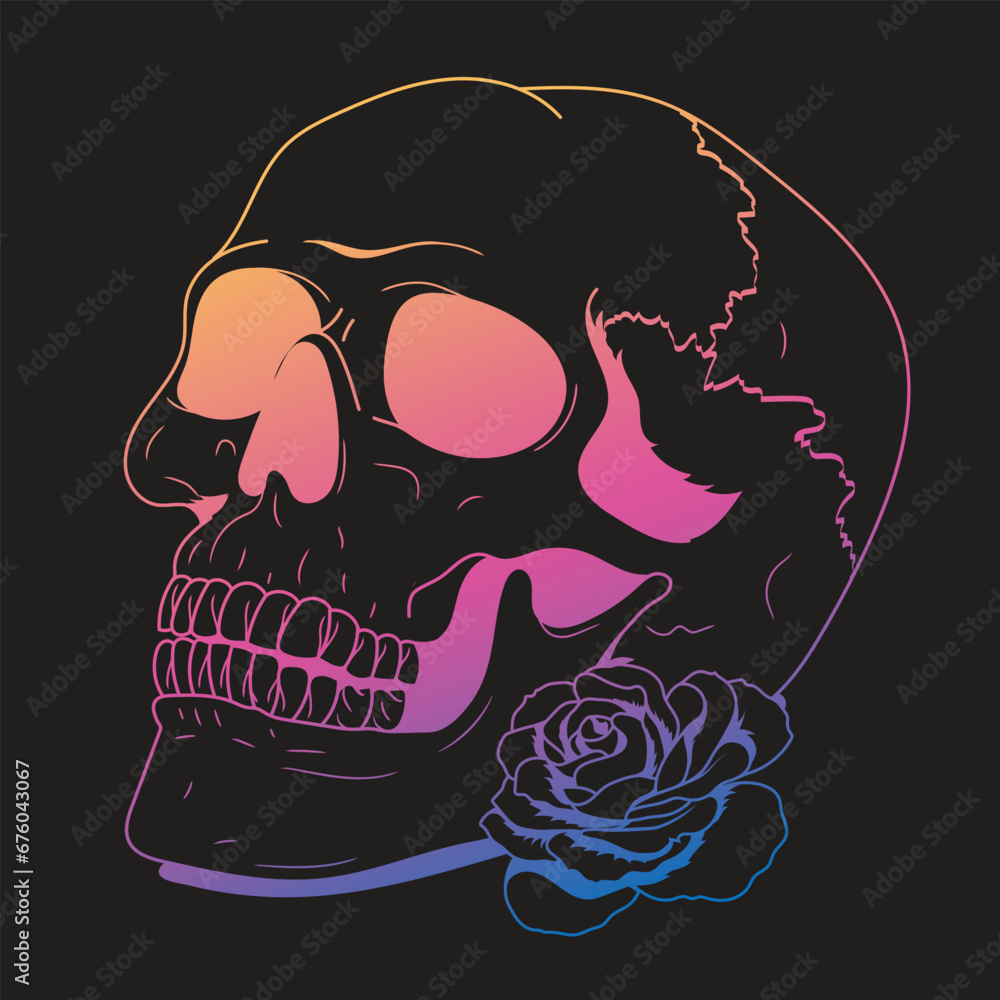 colorful Skull and rose flower outline drawing, Human skull with rose ...