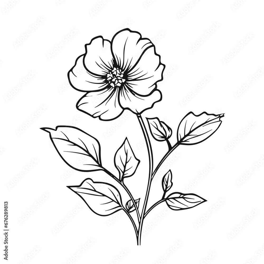 line drawing, line art png, line art prints, spring clipart, line art ...