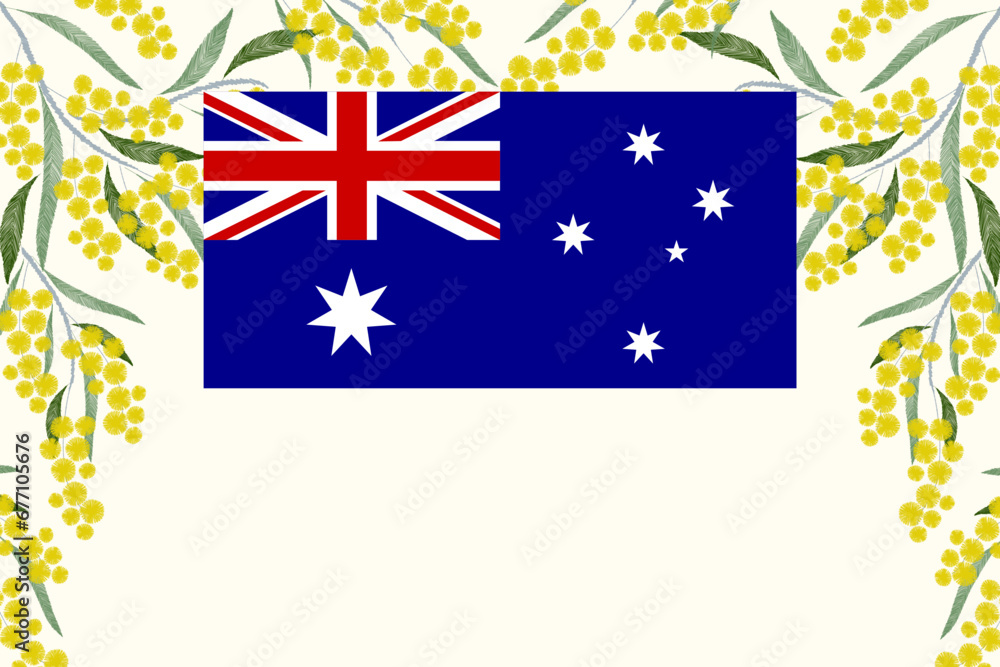 Australia flag the yellow golden wattle (Acacia pycnantha Benth ...
