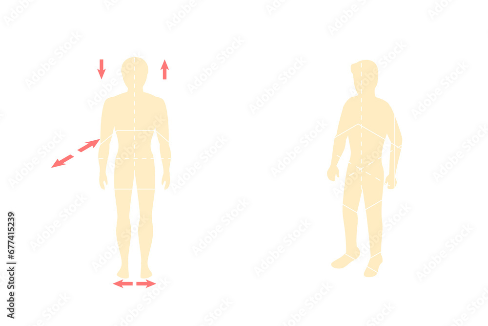 3D Isometric Flat Conceptual Illustration of Human Body Anatomical ...