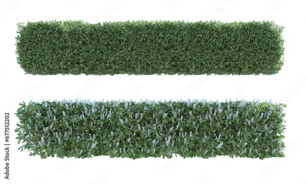 Cherry Laurel bush png alpha channel front view Stock Illustration ...