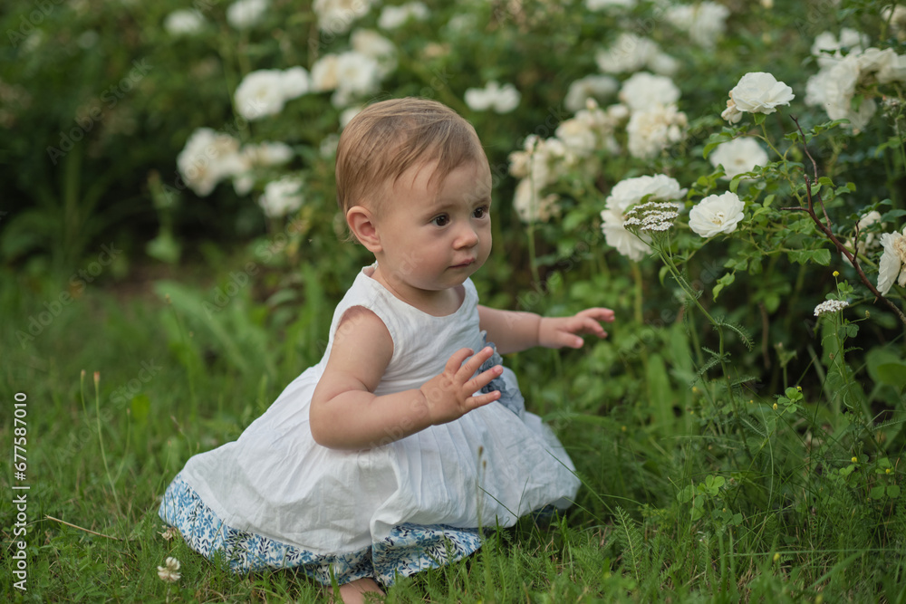 Young explorer interacts with white roses, her interest evident. Aligns ...