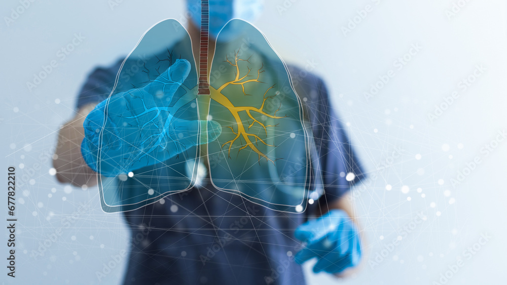 Beautiful human lungs anatomy on science background. 3d illustration ...