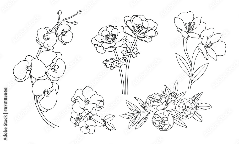 Line drawing floral abstract minimal collection, Flower line art frame ...