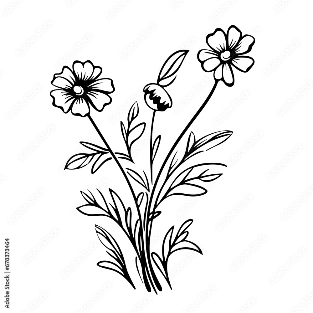 line drawing, line art png, line art prints, spring clipart, line art ...