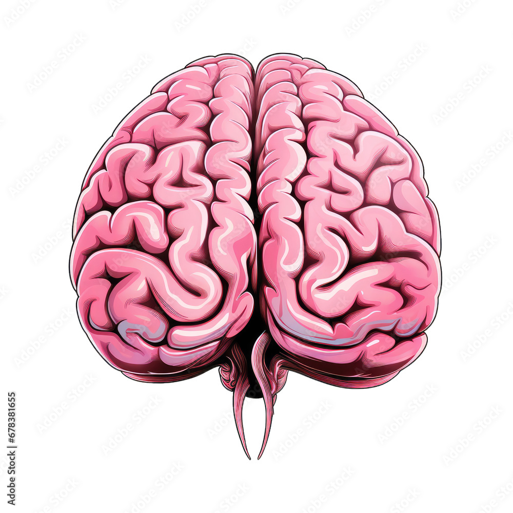 human brain . Clipart PNG image . Transparent background . Cartoon ...