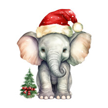 Christmas Baby Elephant Art Free Stock Photo - Public Domain Pictures