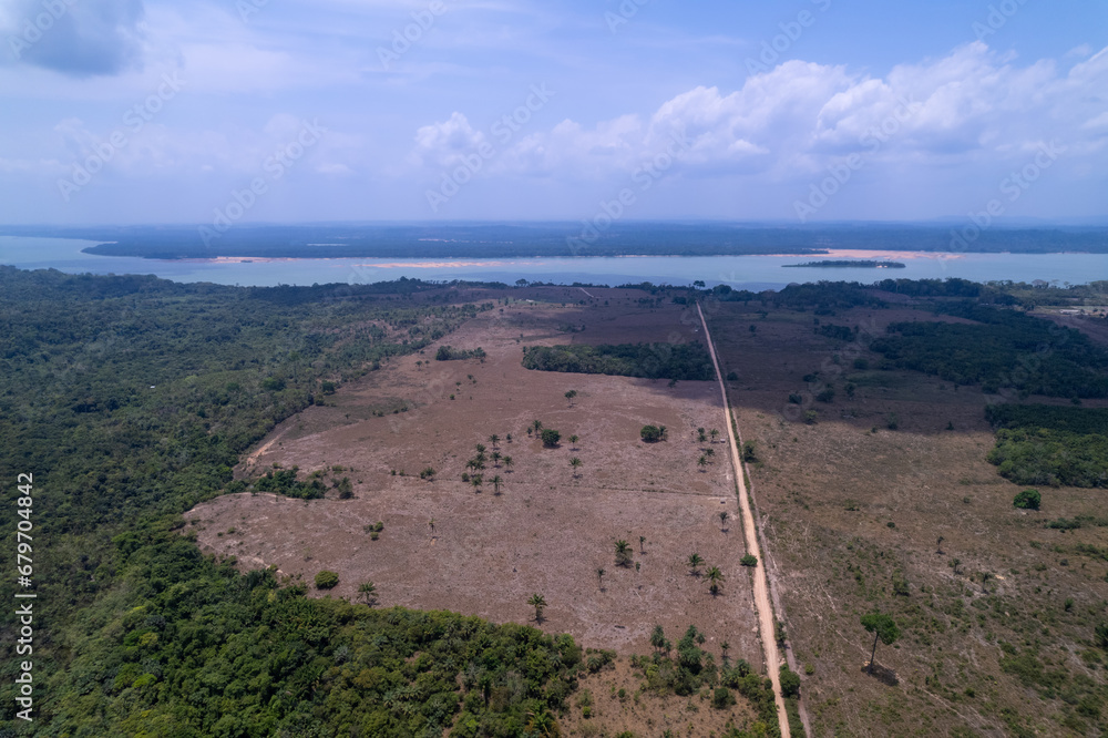 Deforestation aerial view of Amazon rainforest to open land for cattle ...