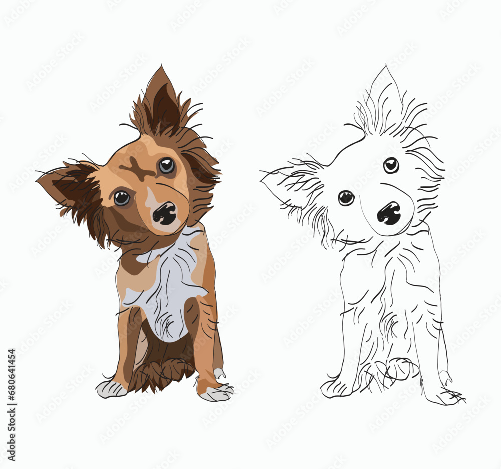 Curious Papillon dog. Cute dog character in a sitting pose, questioning ...