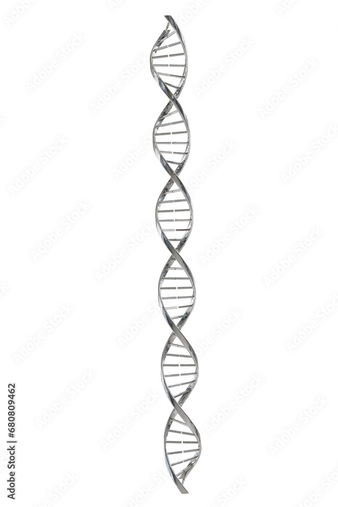 dna png white