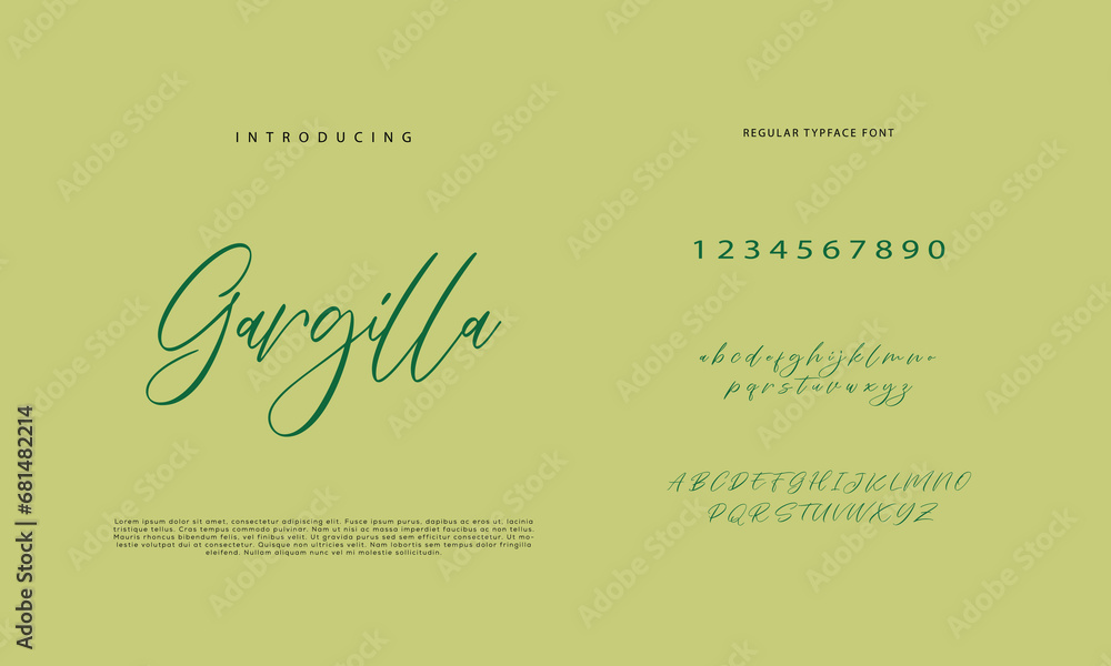 Handwritten Script font. Hand drawn brush style modern calligraphy ...