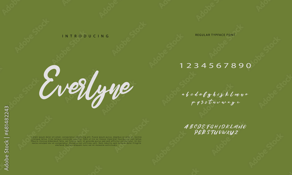 Handwritten Script font. Hand drawn brush style modern calligraphy ...