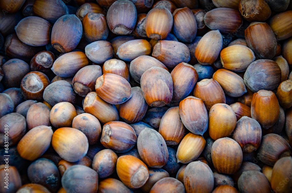 Stock-Foto „Hazelnut – edible fruit of various species of shrubs of the ...