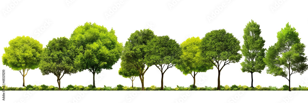 Green trees on transparent background. Stock Illustration | Adobe Stock