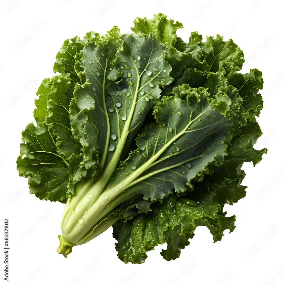 Kale png. Fresh lettuce leaf png. Spinach png. Green leafy vegetable ...