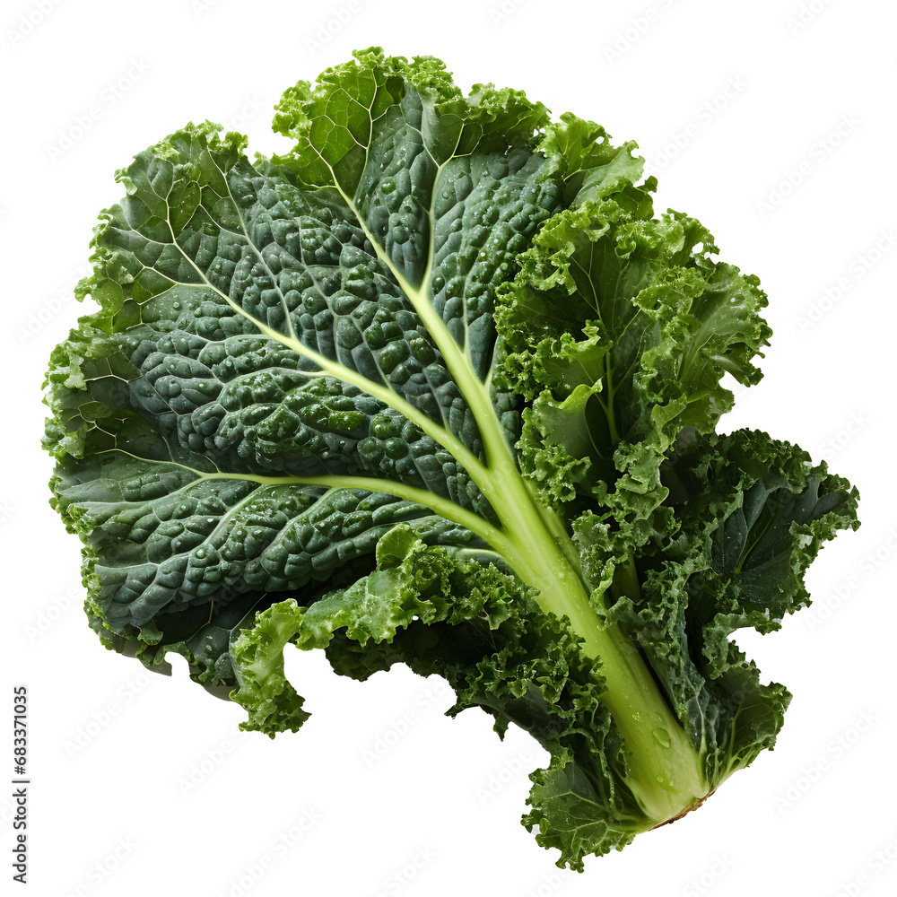 Kale png. Fresh lettuce leaf png. Spinach png. Green leafy vegetable ...