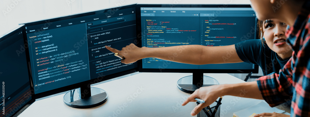 Young Professional website developer and cooperative computer engineer ...