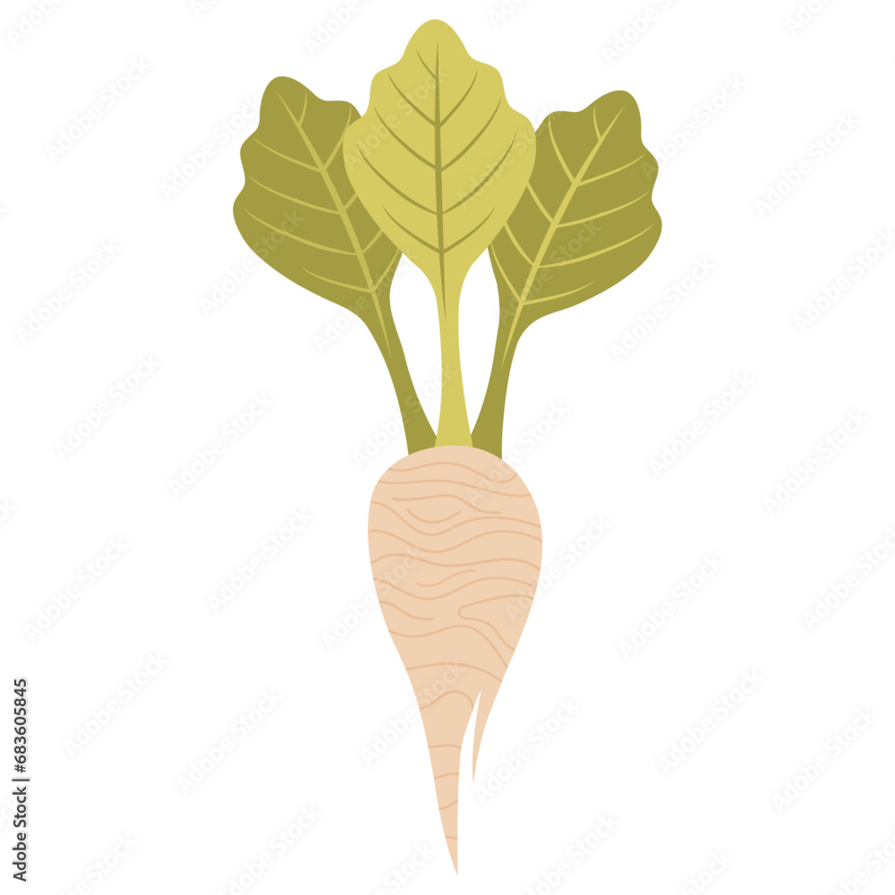 Sugar beet cartoon vector illustration isolated on white background ...