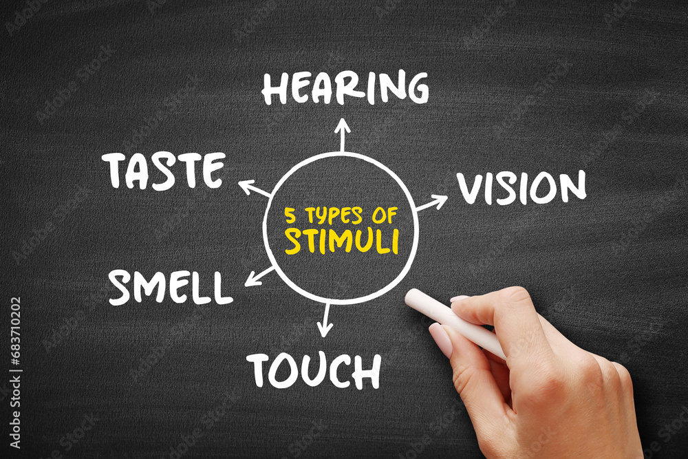 The 5 types of external stimuli - divided into our senses: touch ...