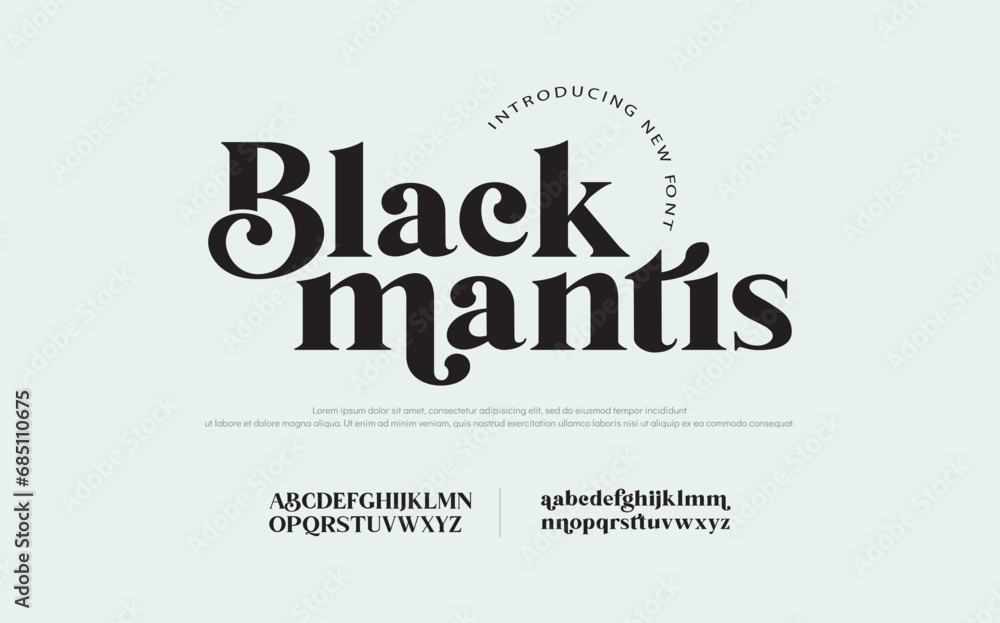 Elegant Font Uppercase Lowercase and Number. Classic Lettering Minimal ...