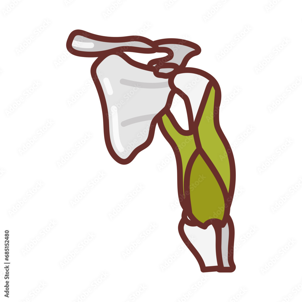 Triceps Muscles icon in vector. Logotype Stock Vector | Adobe Stock