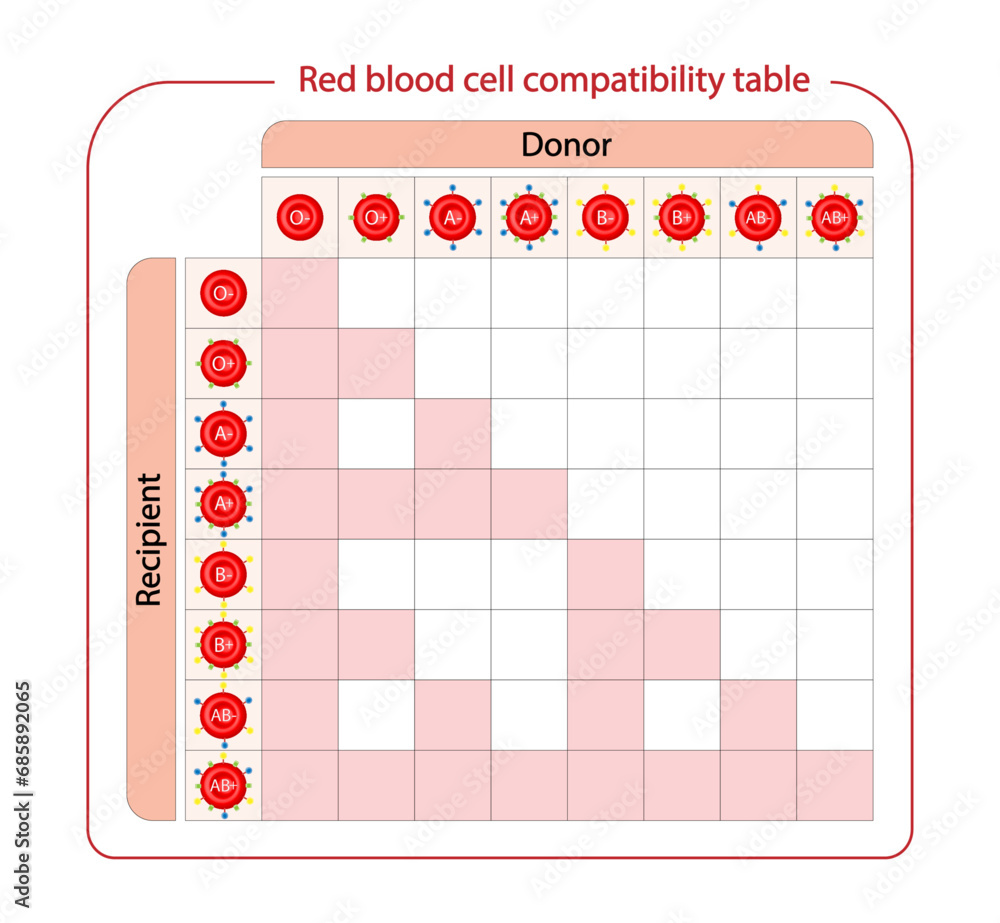 Abo Blood Compatibility Chart. Blood donation, ABO Blood groups ...