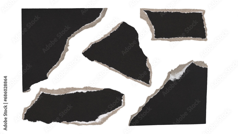 Set of torn and ripped paper pieces, fragments with double edges from ...