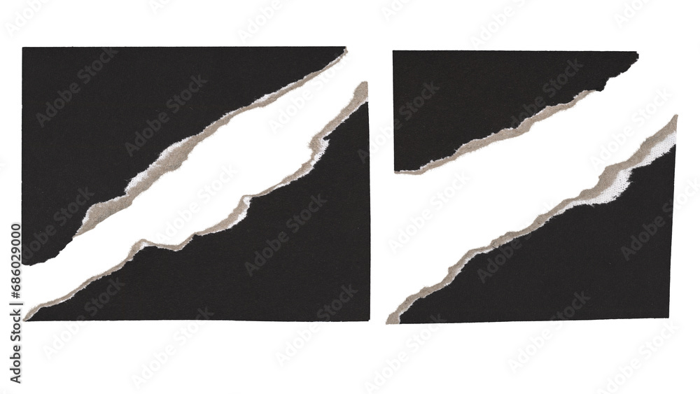 Photo Stock Set of torn and ripped paper pieces, fragments with double ...