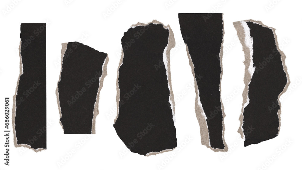 Set of torn and ripped paper pieces, fragments with double edges from ...
