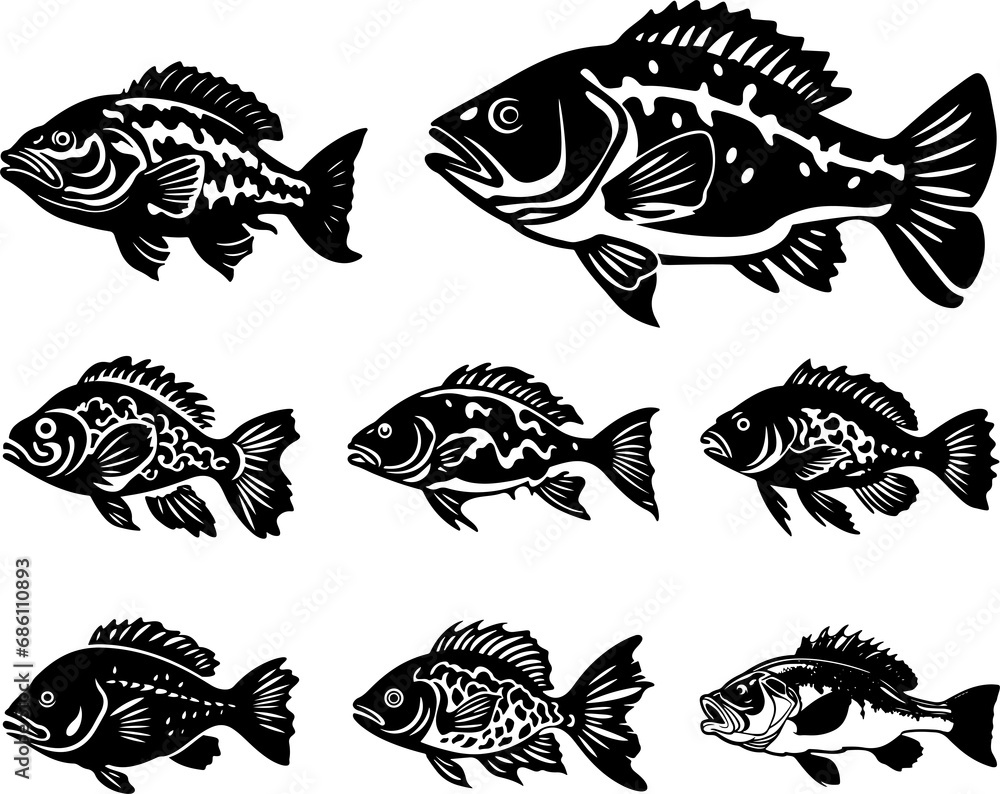 Sets of grouper fish isolated on transparent background. Fishs ...