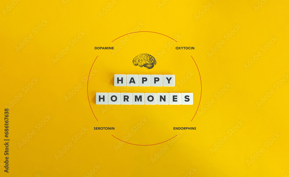 Happy Hormones, Brain Chemistry, Positive Emotions Banner and Concept ...