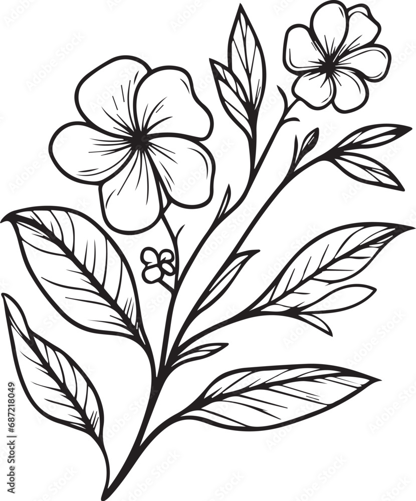Vector sketch of flowers. periwinkle line drawings, hand-painted ...