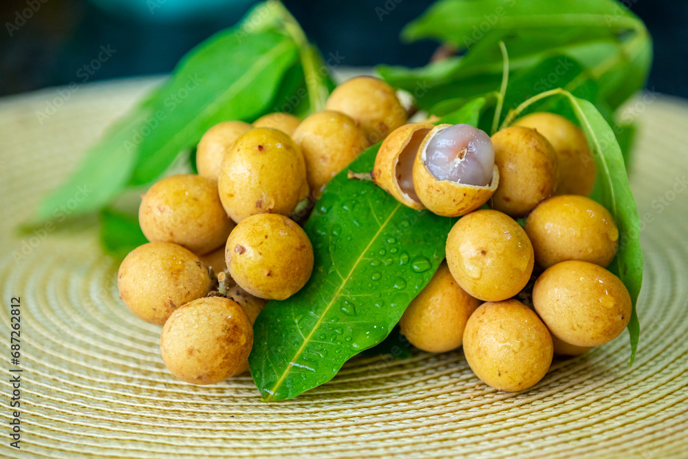 Ripe Pitomba fruits (talisia esculenta), an exotic fruit from the ...