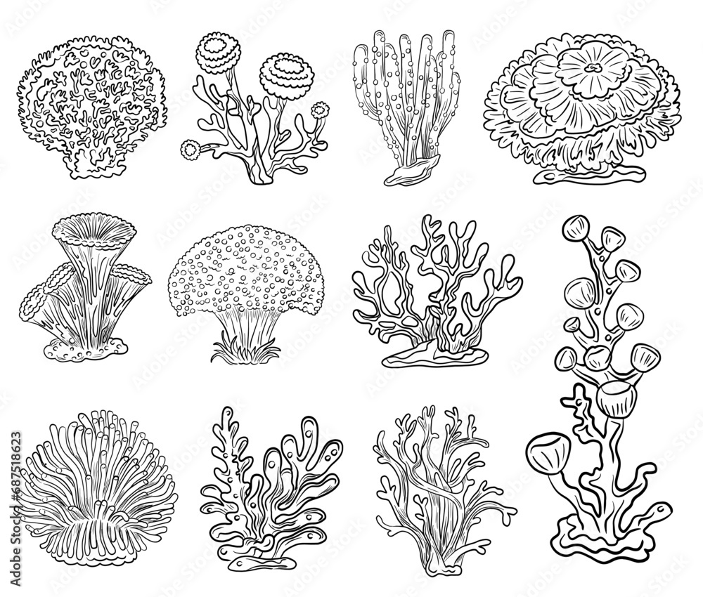 Corals hand drawn line illustrations. Ocean plants and coral reef ...