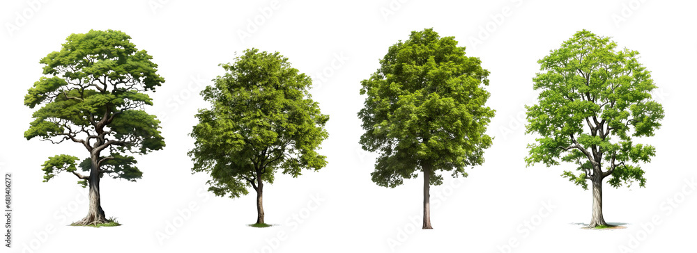 Collection of PNG. Tree isolated on a transparent background. Stock ...
