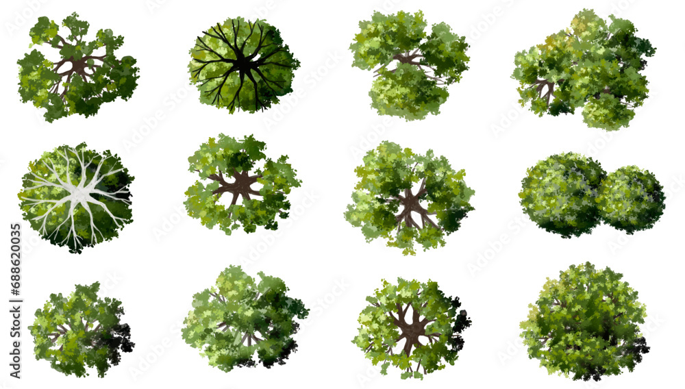 Vertor set of green tree,plants top view for landscape plan,schematic ...