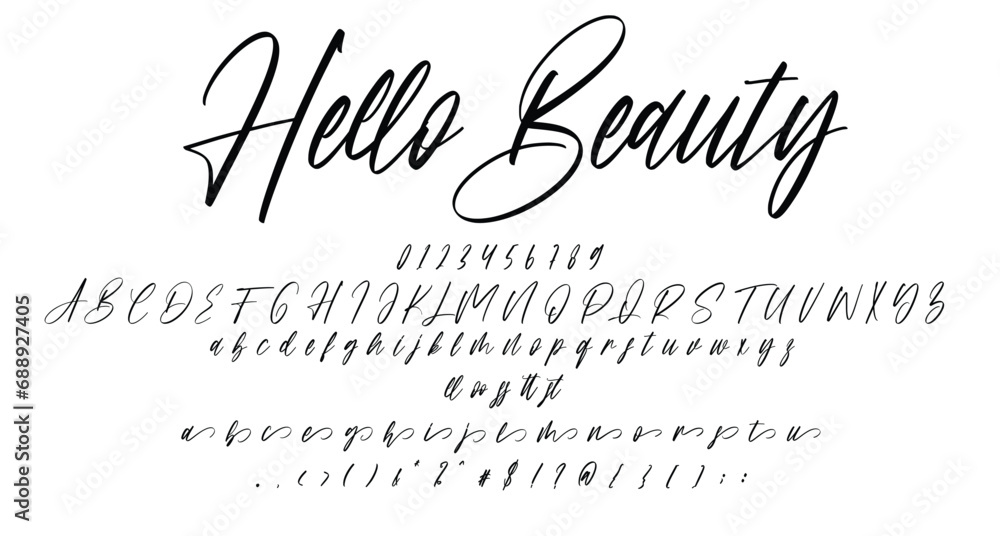 Elegant calligraphy signature font Best Alphabet Alphabet Brush Script ...