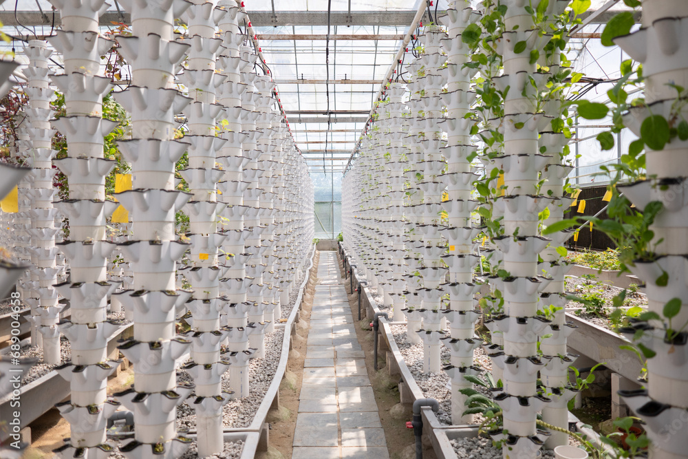 Photo Stock Sustainable Agriculture. Hydroponics based production ...