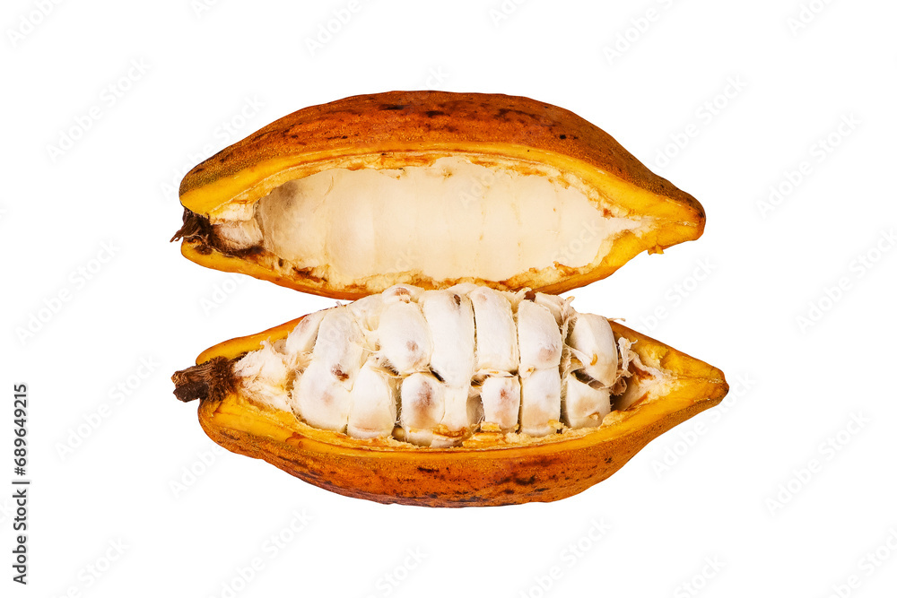 Yellow Cocoa pods old cut in half with seeds. Clipping path. Cocoa ...