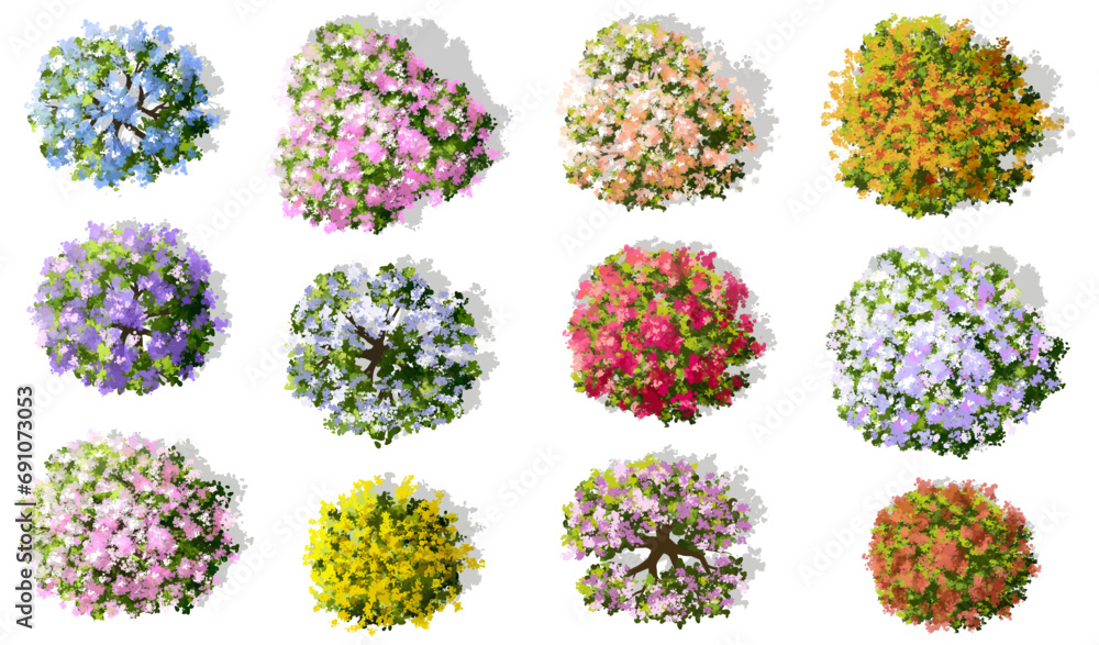 Vertor set of spring blossom tree,bloomimg plants top view for ...