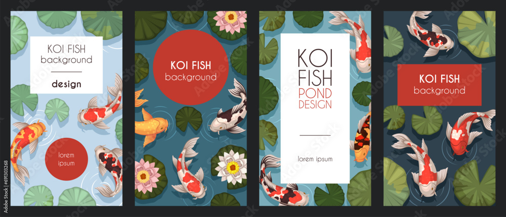 Chinese koi fish cards. Spotted japanese carps, top view, decorative ...