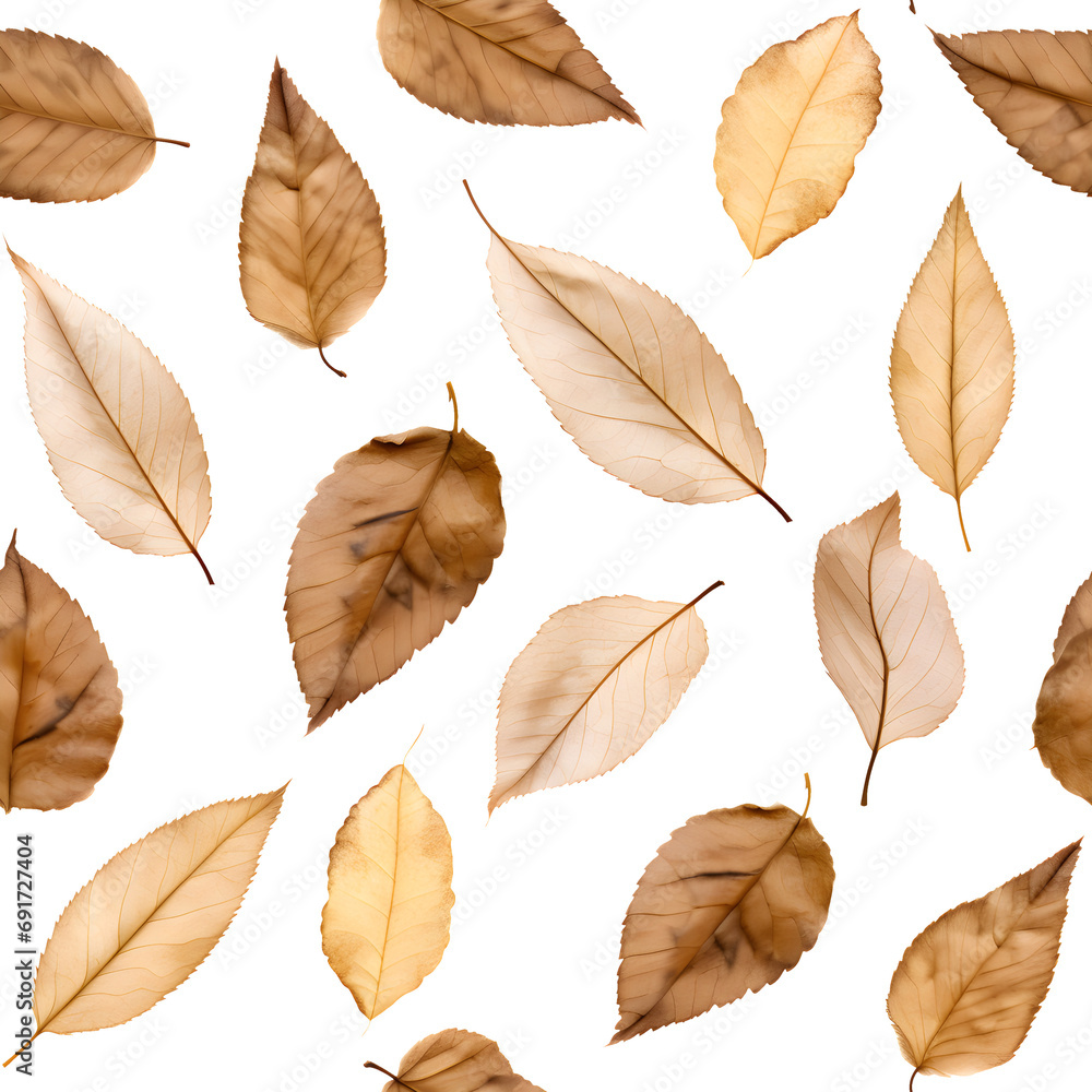 seamless dry leaves texture pattern isolated on transparent background ...