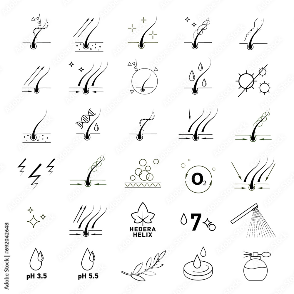 Vector set of pictograms. Hair care and its condition. Trichology ...