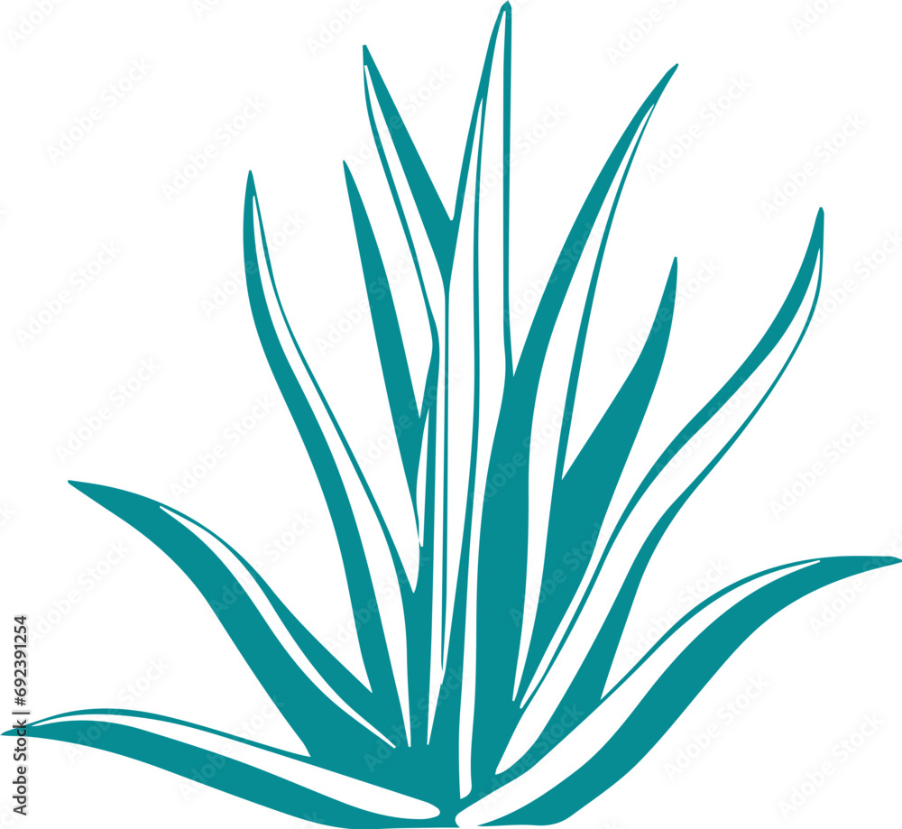 เวกเตอร์ Stock Agave outline svg drawing | Adobe Stock