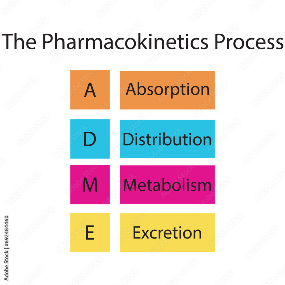 Diagram showing pharmacokinetic parameters - ADME - Absorption ...