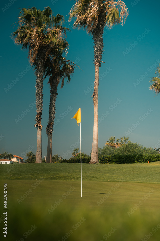 Golf course flag, green flag pin, golf resort hole, exotic golfing ...