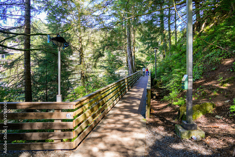 Elevated boardwalk of the Salmon Walk, a trail following the banks of ...
