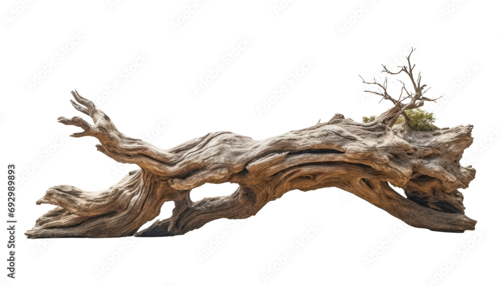 dead log stump isolated on transparent background cutout Stock ...